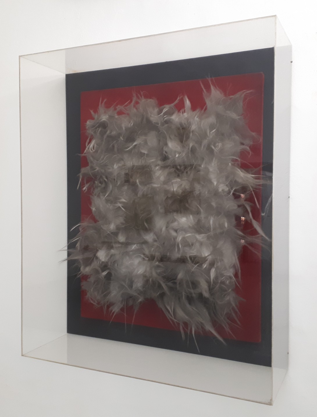 Genesis Space, l’eredità d’oro di Nanda Vigo per il San Fedele